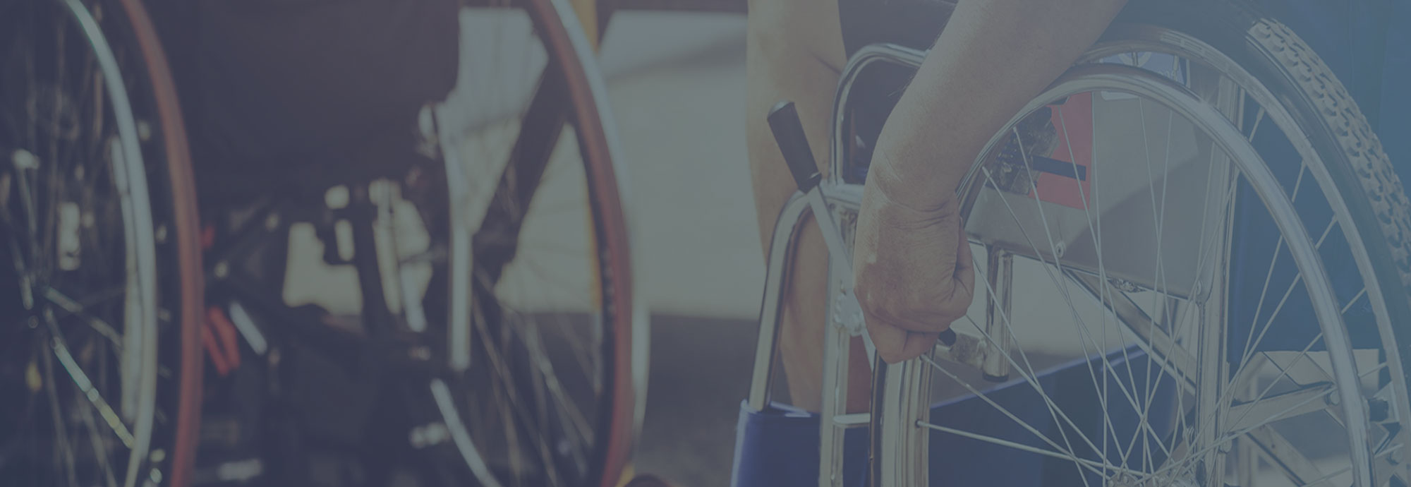 IndyGo Access - IndyGo