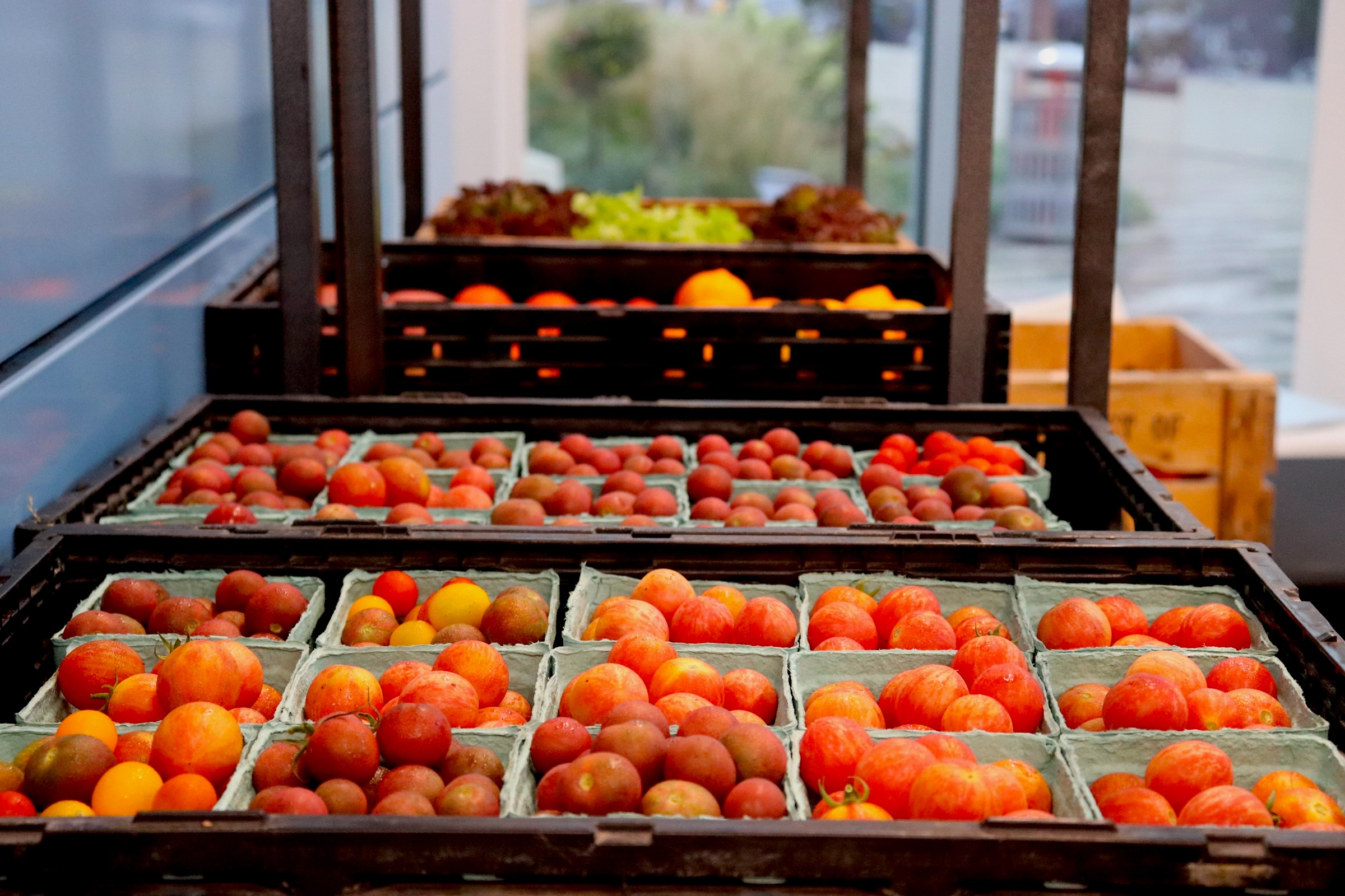 Food in Transit Returns on July 1 - IndyGo